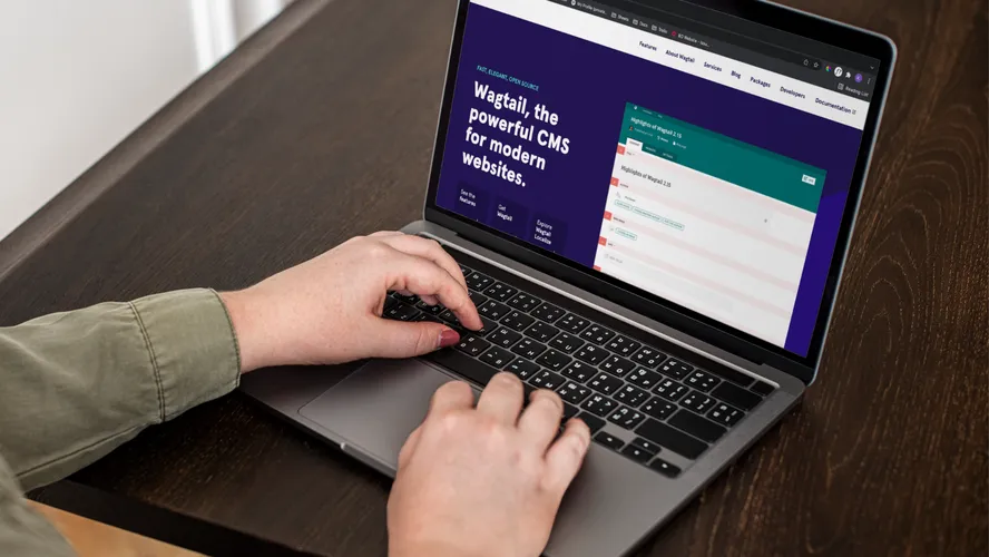 Why Wagtail is a great CMS | Byte Orbit